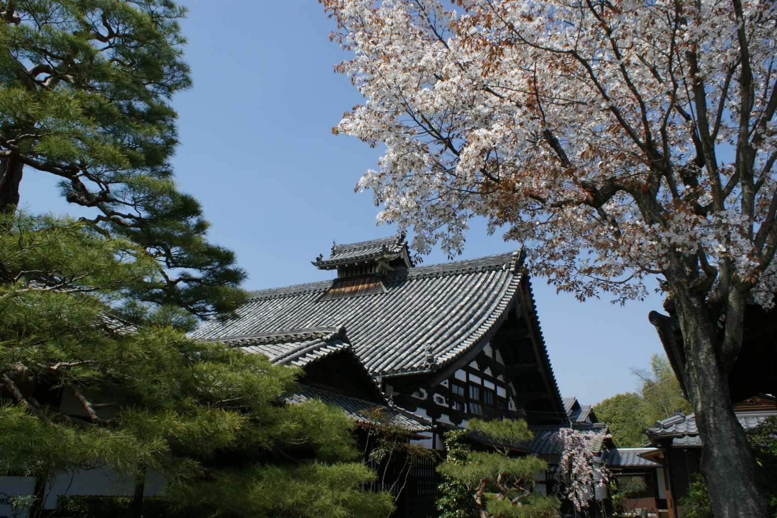 Shunkoin Temple in Myoshinji